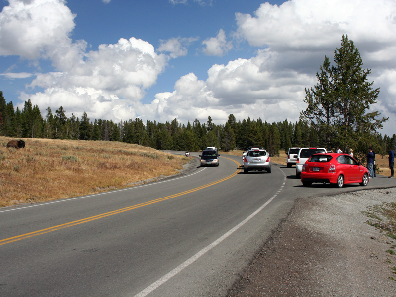 Bears… Oh My! | ExplorerQuest - The Travel Blog of Art and Rita Aughey